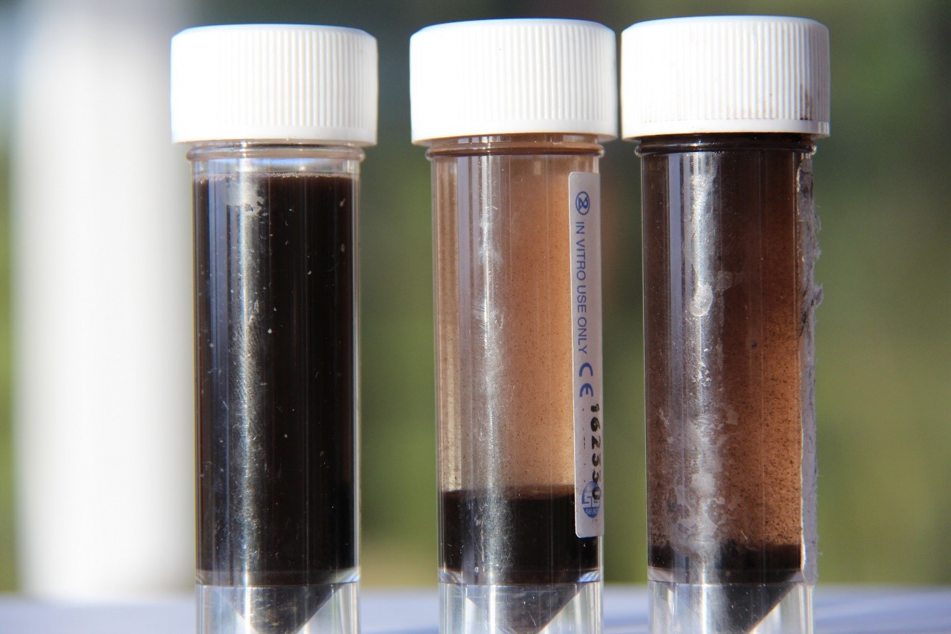 Chitin and Chitosan biostimulants | Plater Group BlogPlater Group Blog