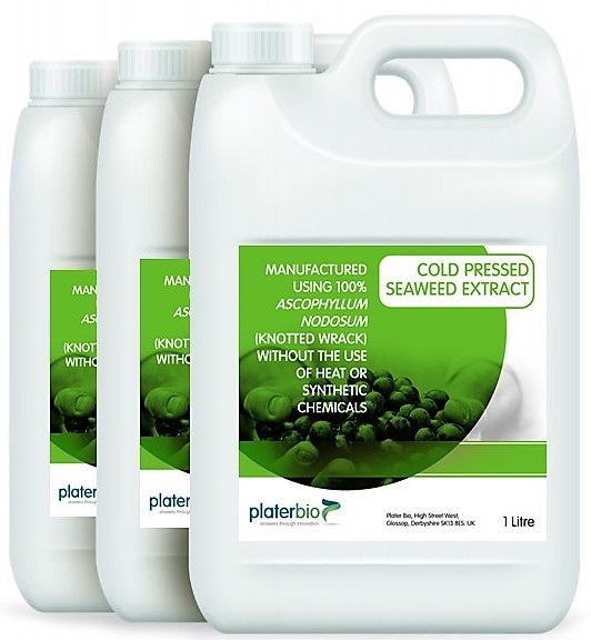 Cold pressed seaweed extract